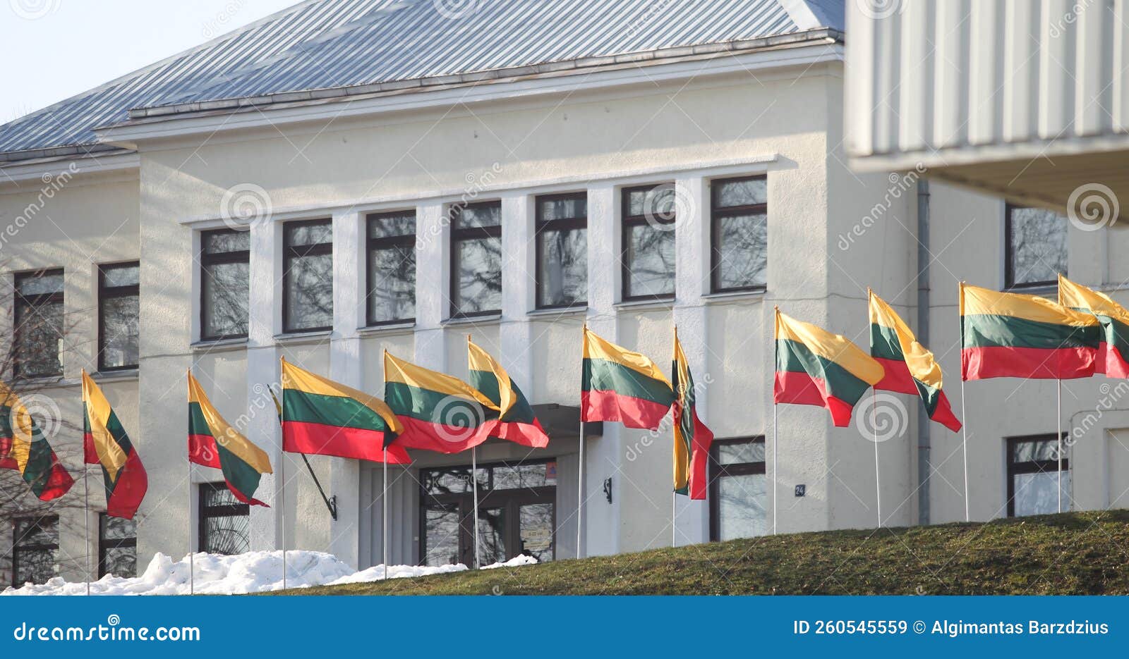 Flag of Lithuania Flying in the Wind Stock Image - Image of culture ...