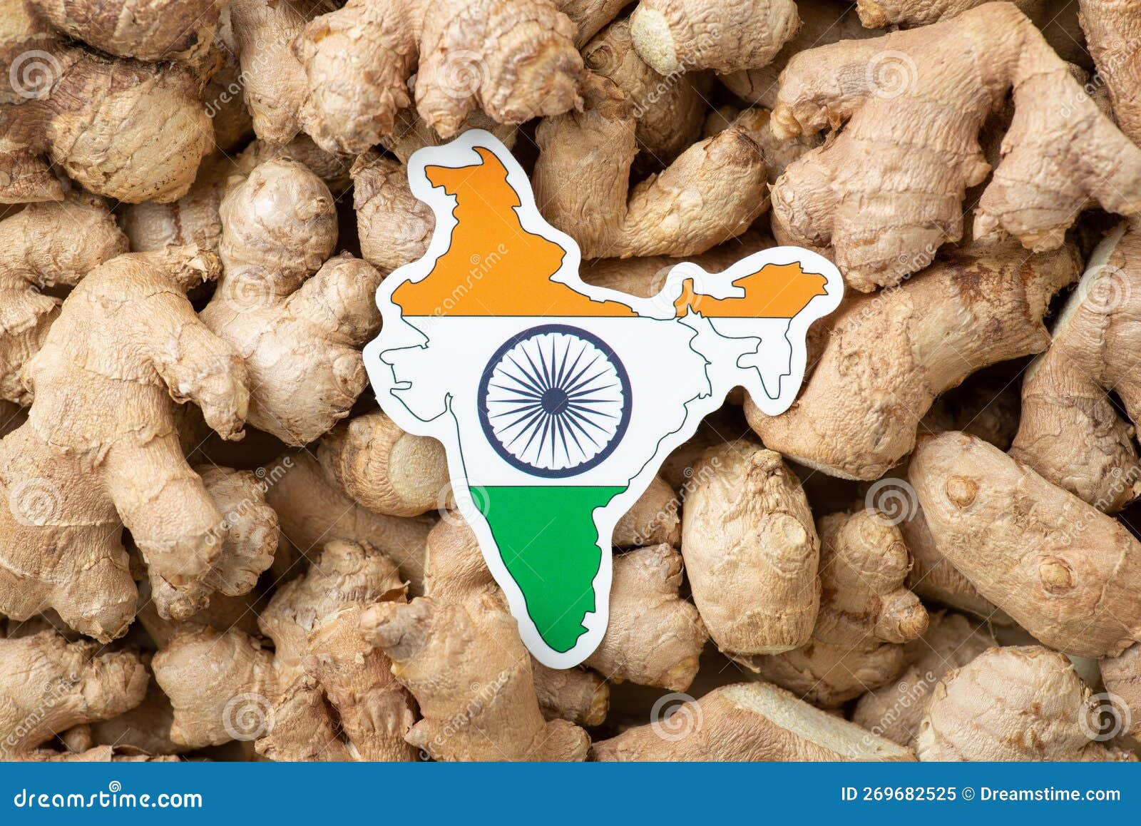 Flag and Map of India on Ginger Roots Background Stock Image - Image of ...