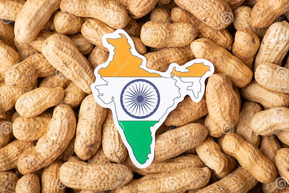 Flag and Map of India on Peanut Stock Image - Image of nuts, sell ...