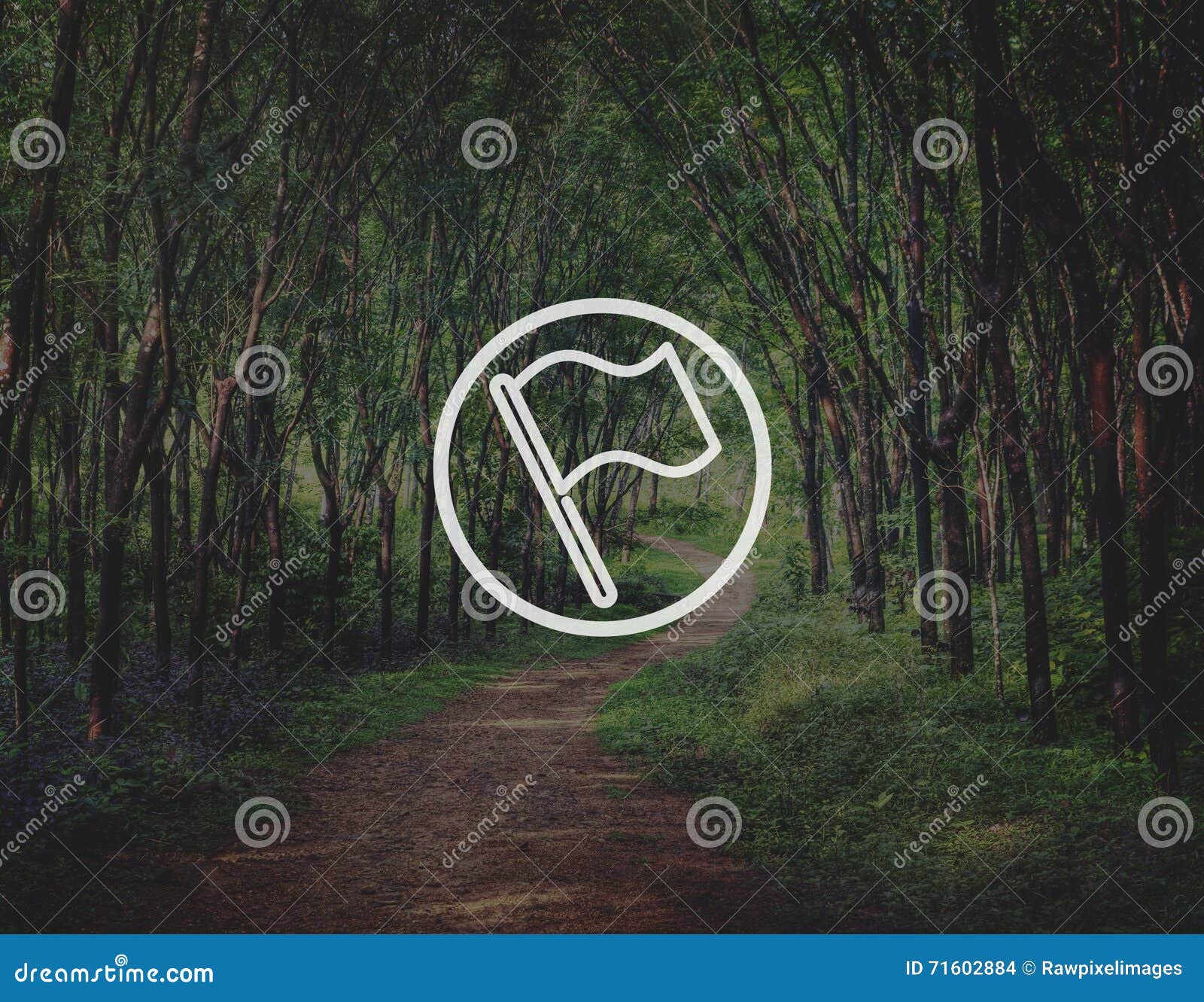 Flag Mark Pointing Marker Location Destination Concept Stock Photo ...