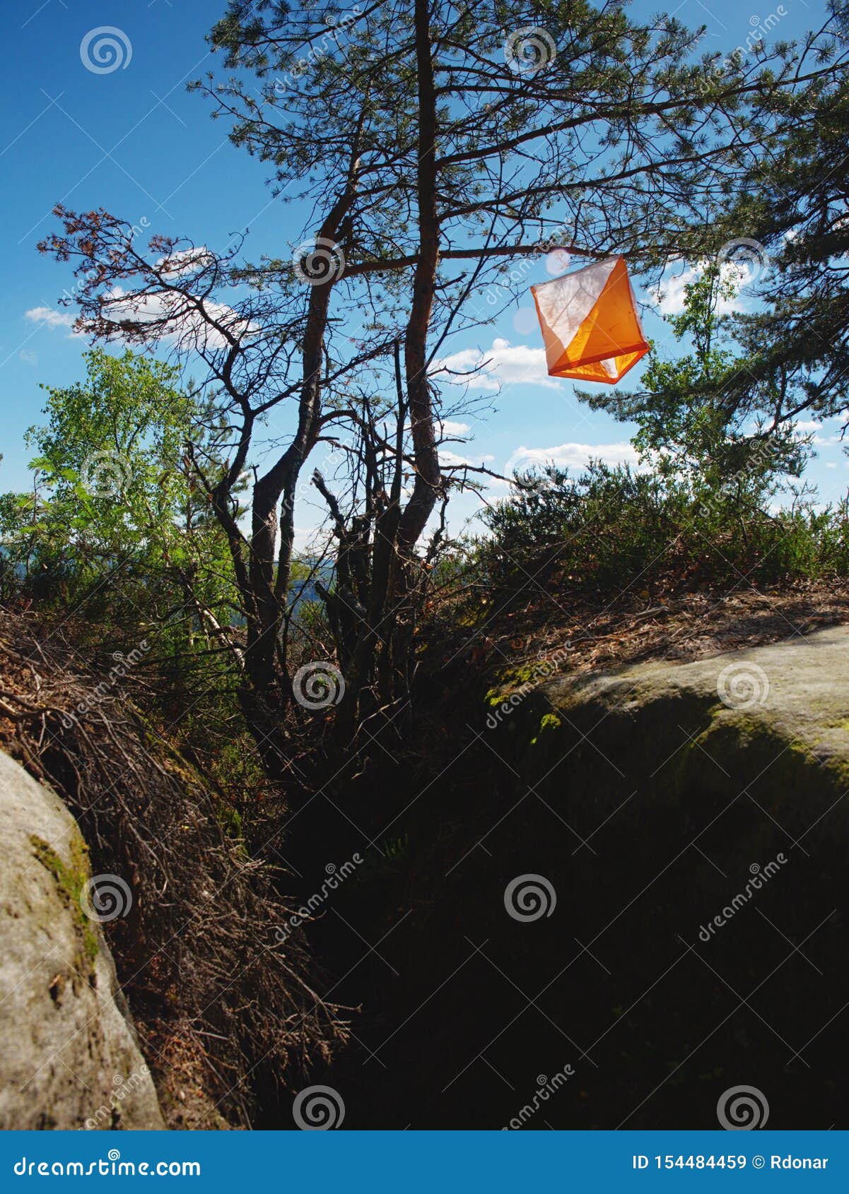 Flag Marks Checking Point for Orienteering Run Hangs on Tree Stock ...