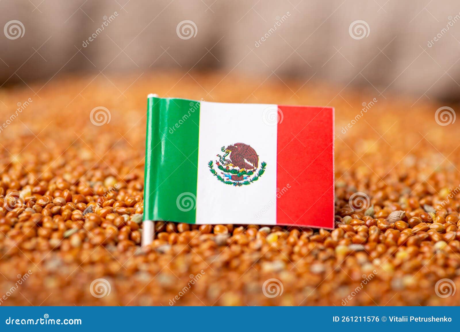 Flag of Mexico on Harvested Millet Grain Stock Photo - Image of food ...