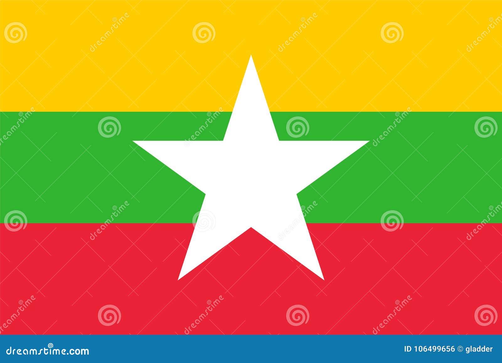 Burmese Star Tortoise Vector Illustration | CartoonDealer.com #48296808