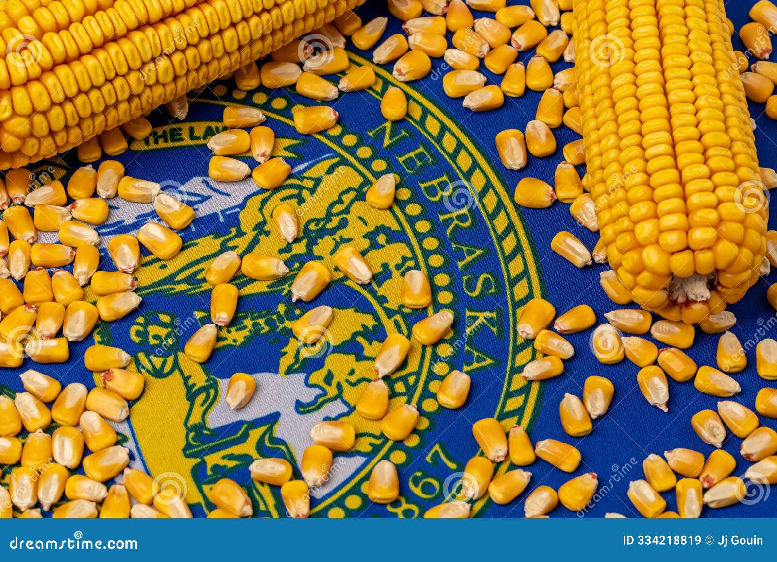 Flag of Nebraska Covered in Corn Kernels. Stock Image - Image of state ...