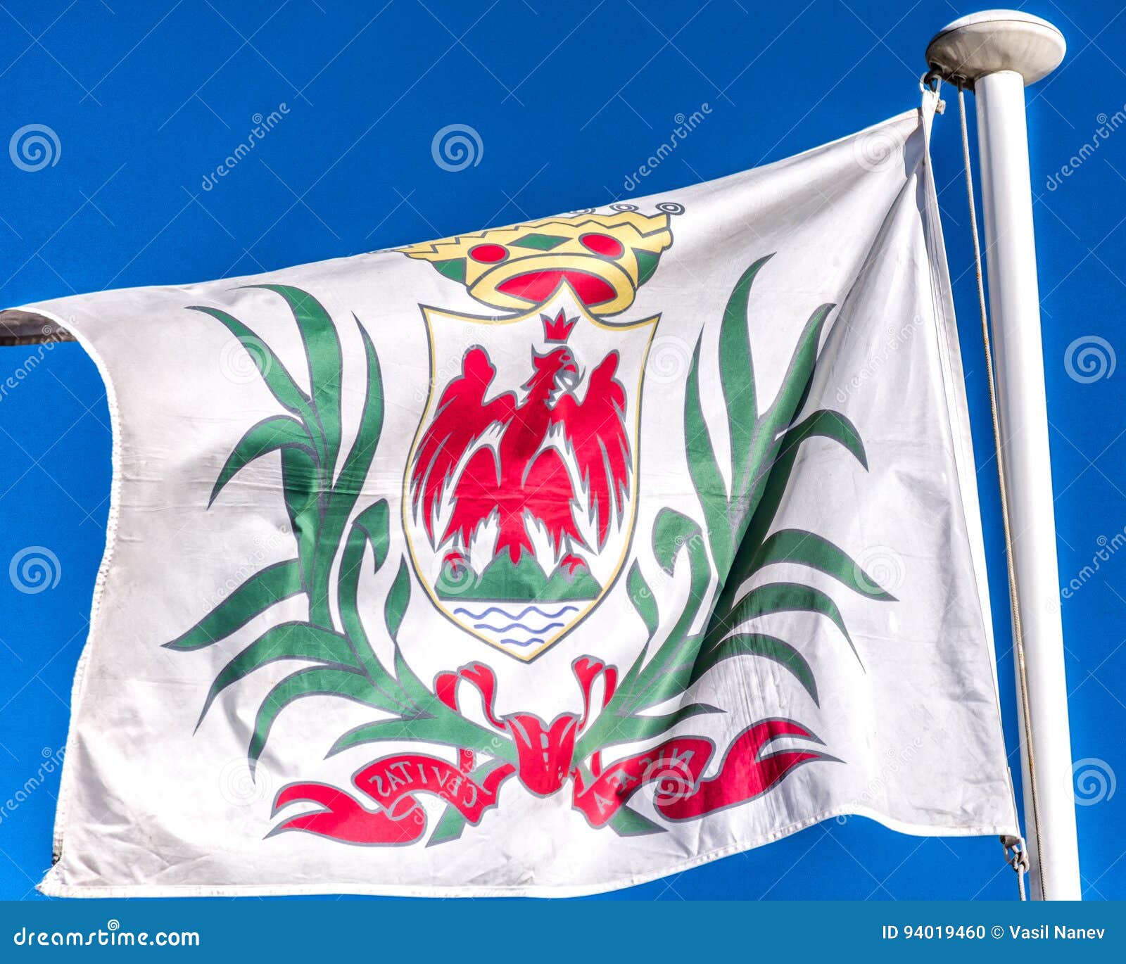 Flag of Nice stock photo. Image of nissa, nice, view - 94019460