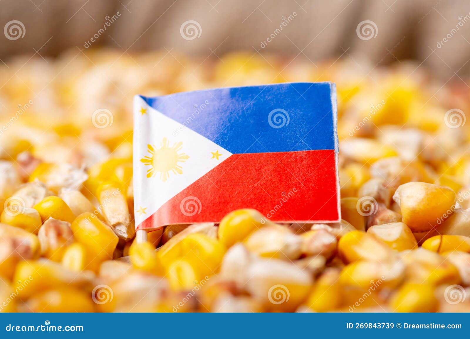 Flag of Philippines on Corn Grain Stock Image - Image of trade, country ...