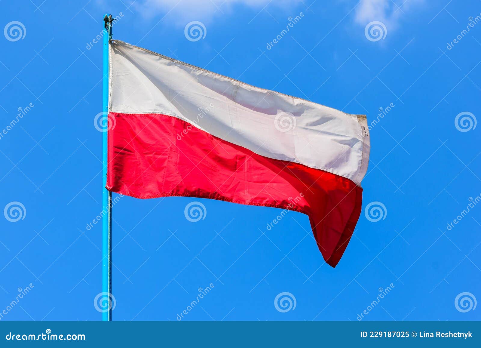 The flag of Poland stock image. Image of blue, horizontal - 229187025