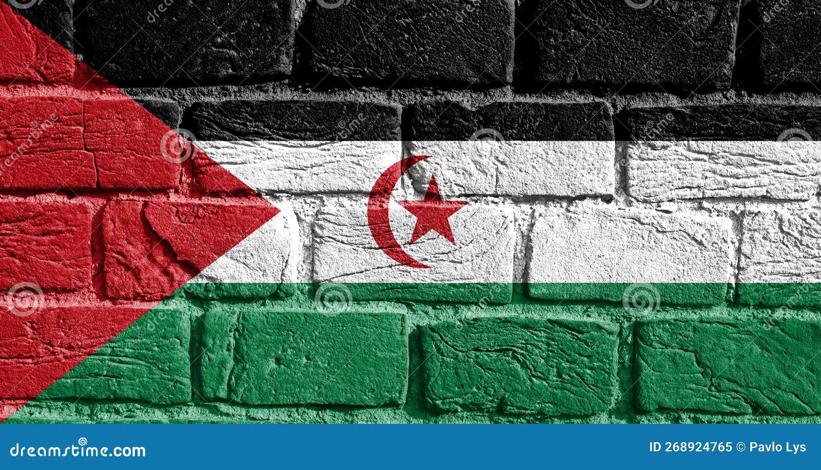 Flag of Sahrawi Arab Democratic Republic on the Wall Stock Image ...