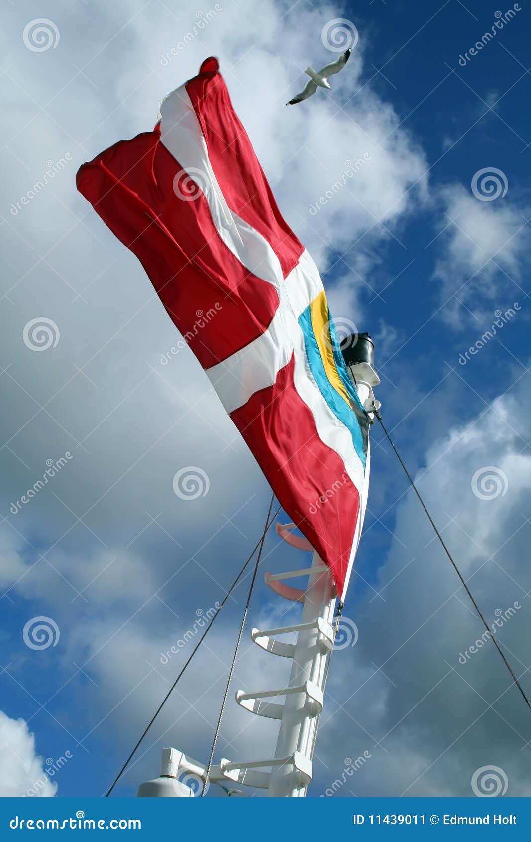 Flag & Seagull stock image. Image of fluttering, white - 11439011