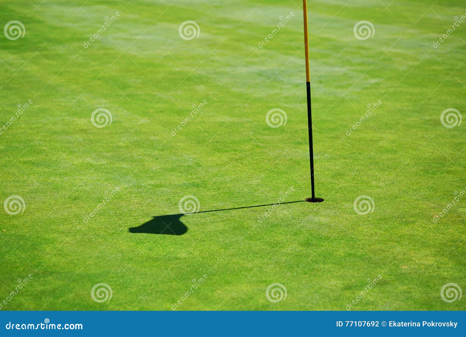 Flag Shadow on the Golf Field Stock Photo - Image of play, hobby: 77107692