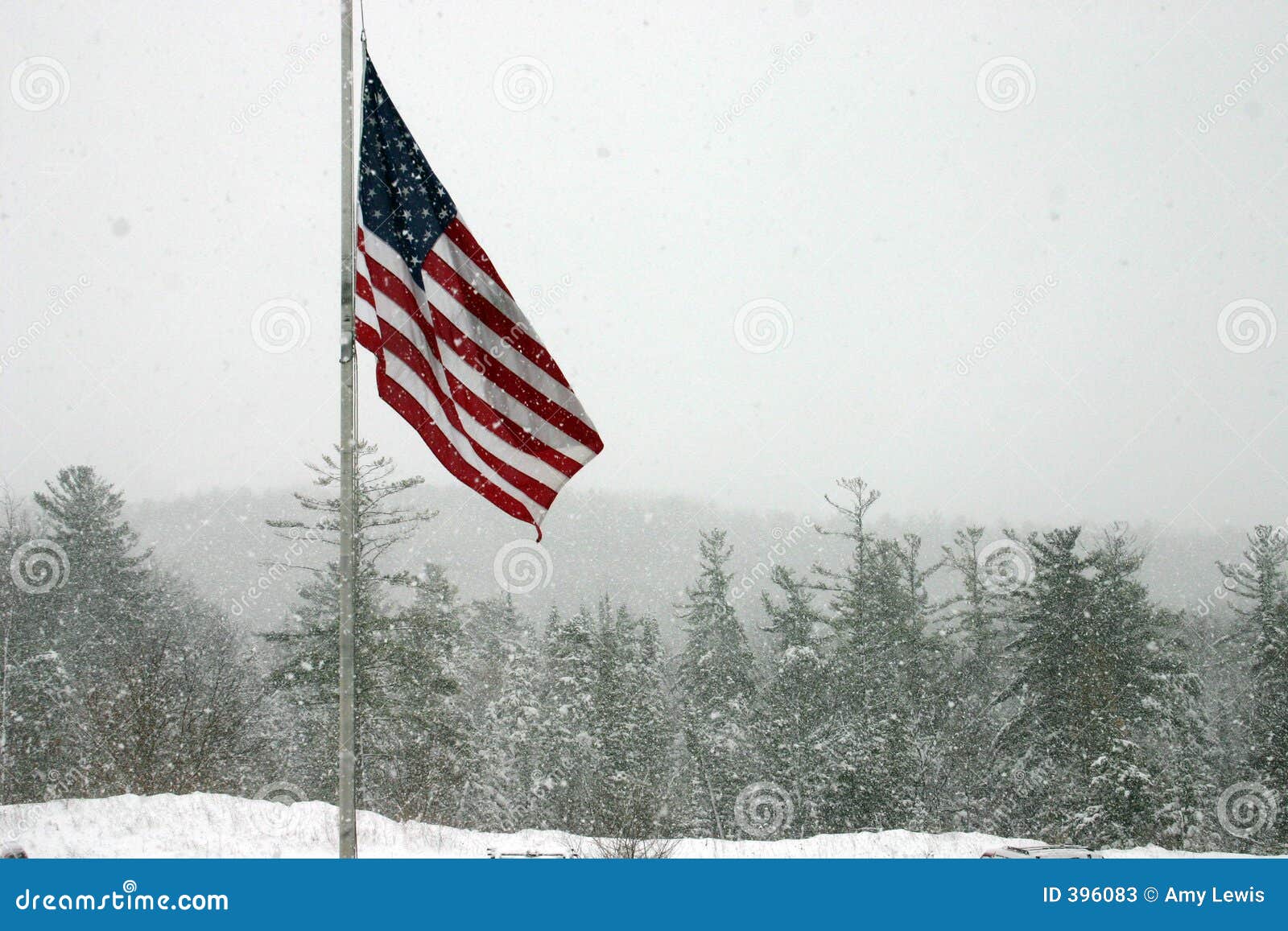 Flag in Snow Storm stock image. Image of trees, michigan - 396083