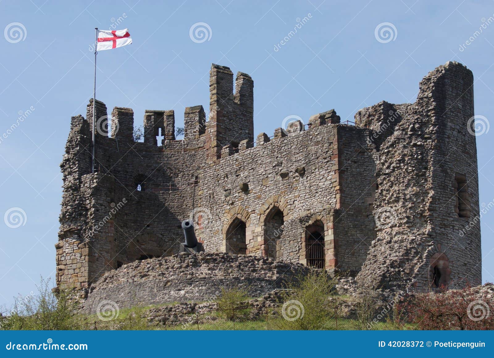 Medieval Castle Flag
