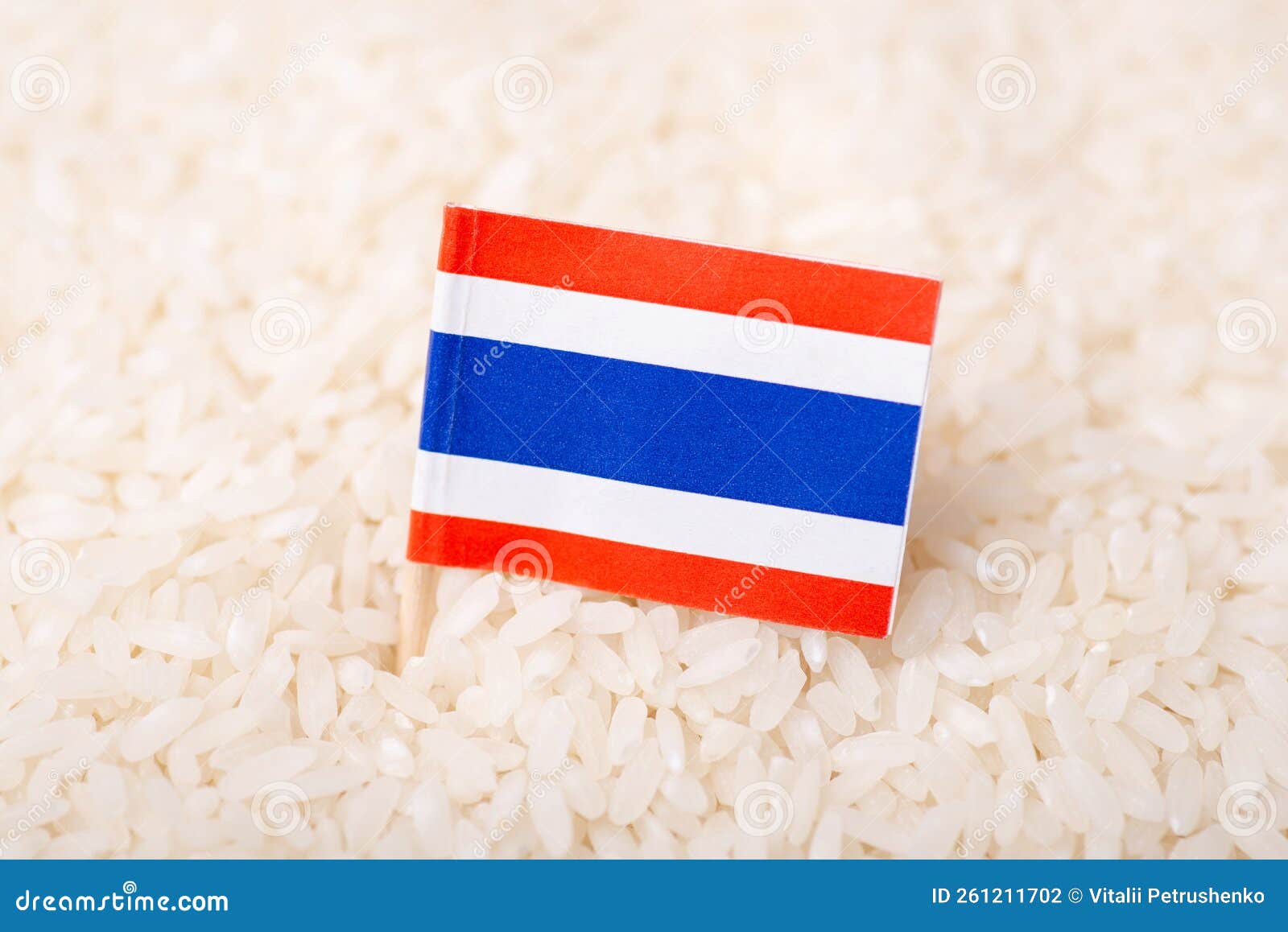 Flag of Thailand in rice stock photo. Image of white - 261211702