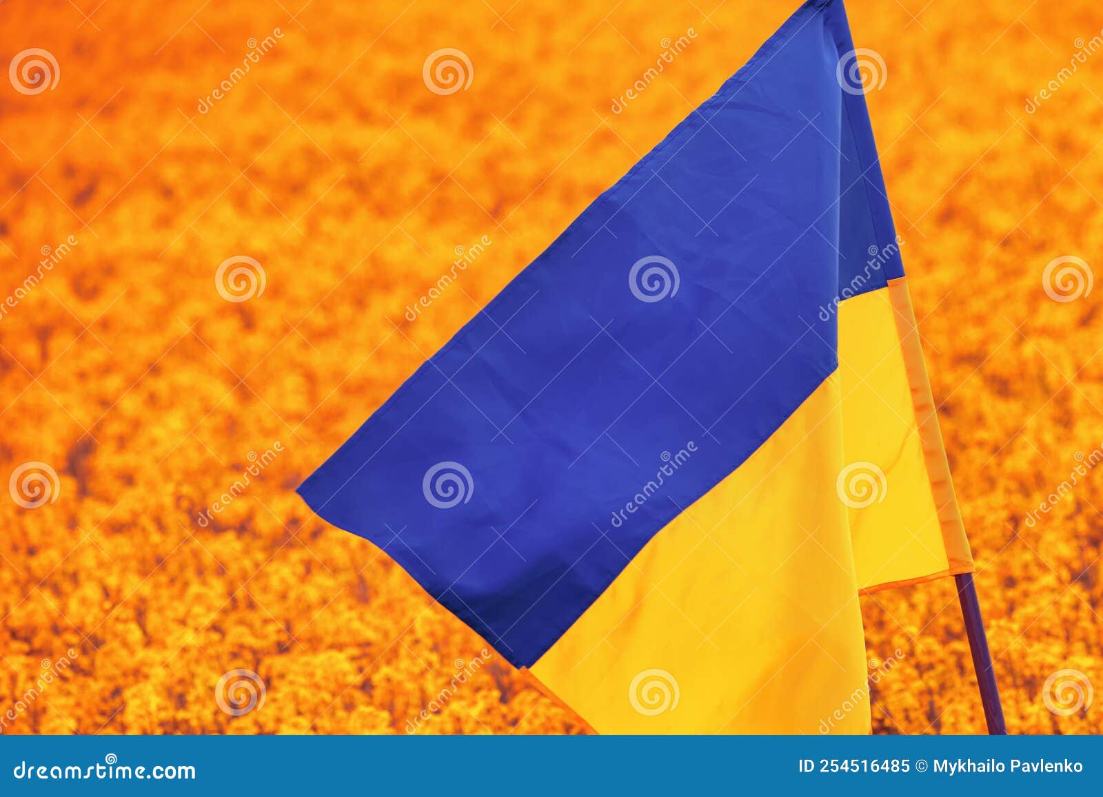 Yellow-blue Flag on the Background of a Field Stock Image - Image of ...