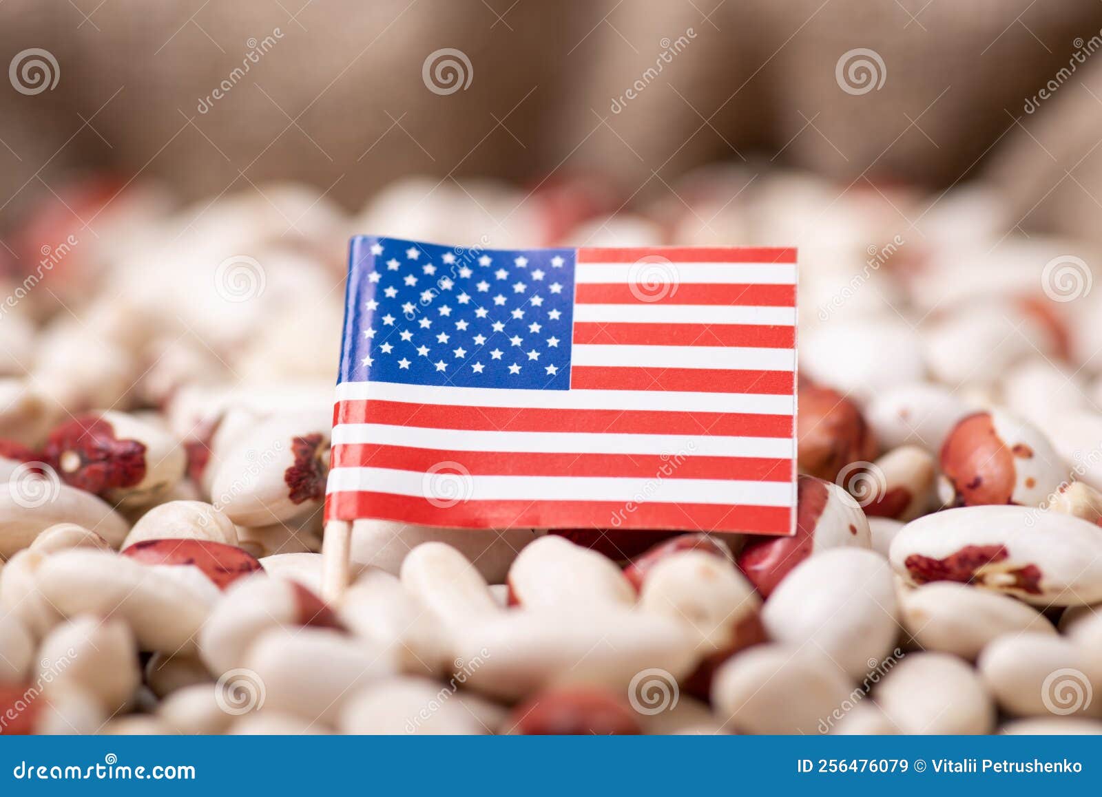 Flag of US on beans stock image. Image of flag, countries - 256476079