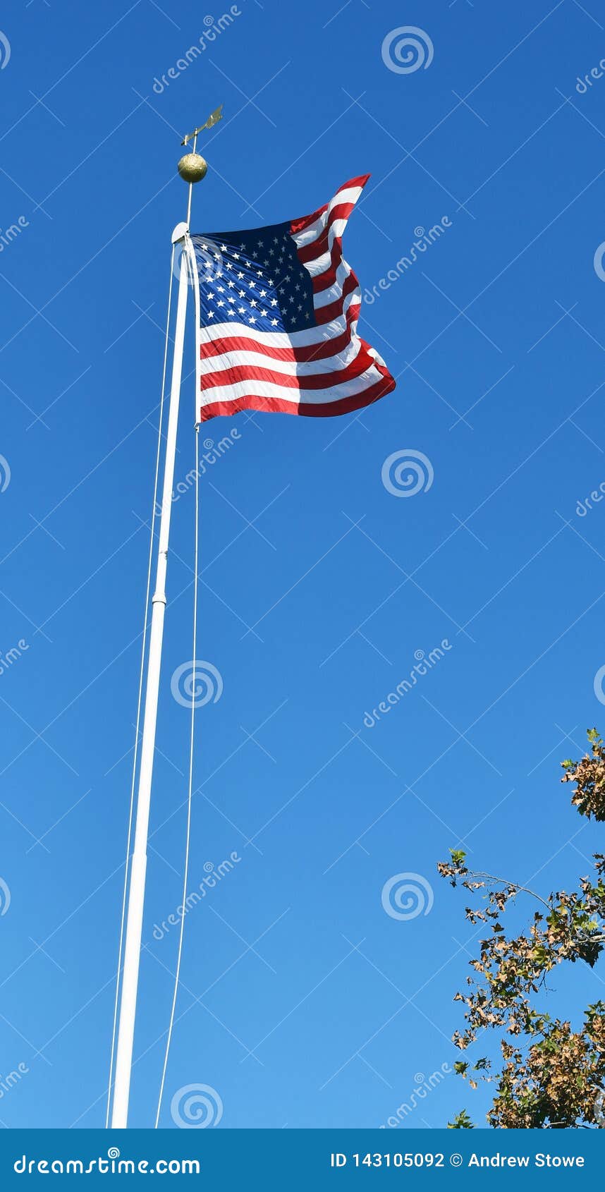 Flag of the USA the Flag Pole Waving in the Wind Stock Photo - Image of ...