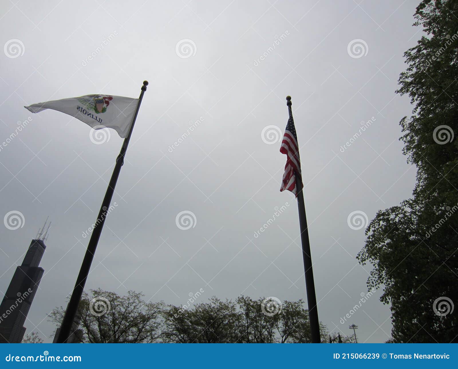 Flag USA University of Illinois in Chicago USA Editorial Stock Image ...