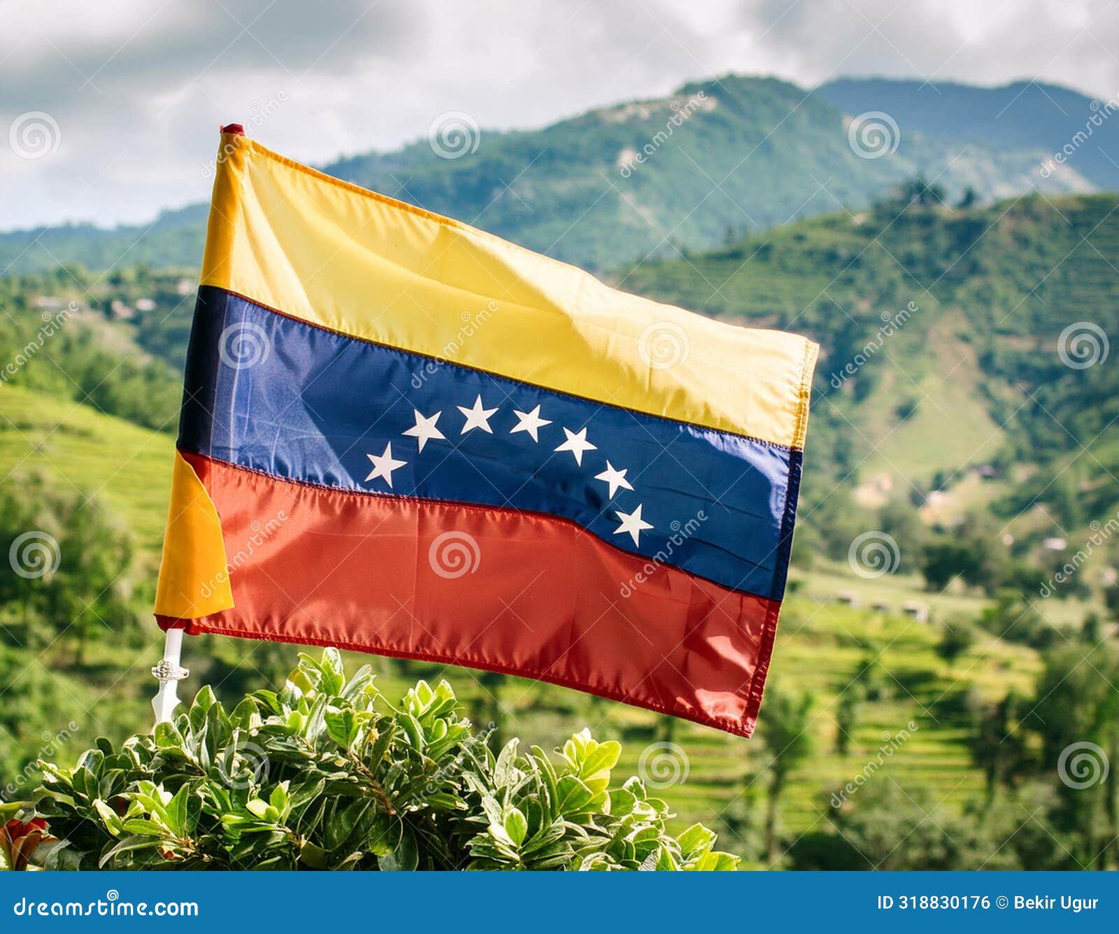 Venezuela Flag. the National Flag of Venezuela Stock Illustration ...