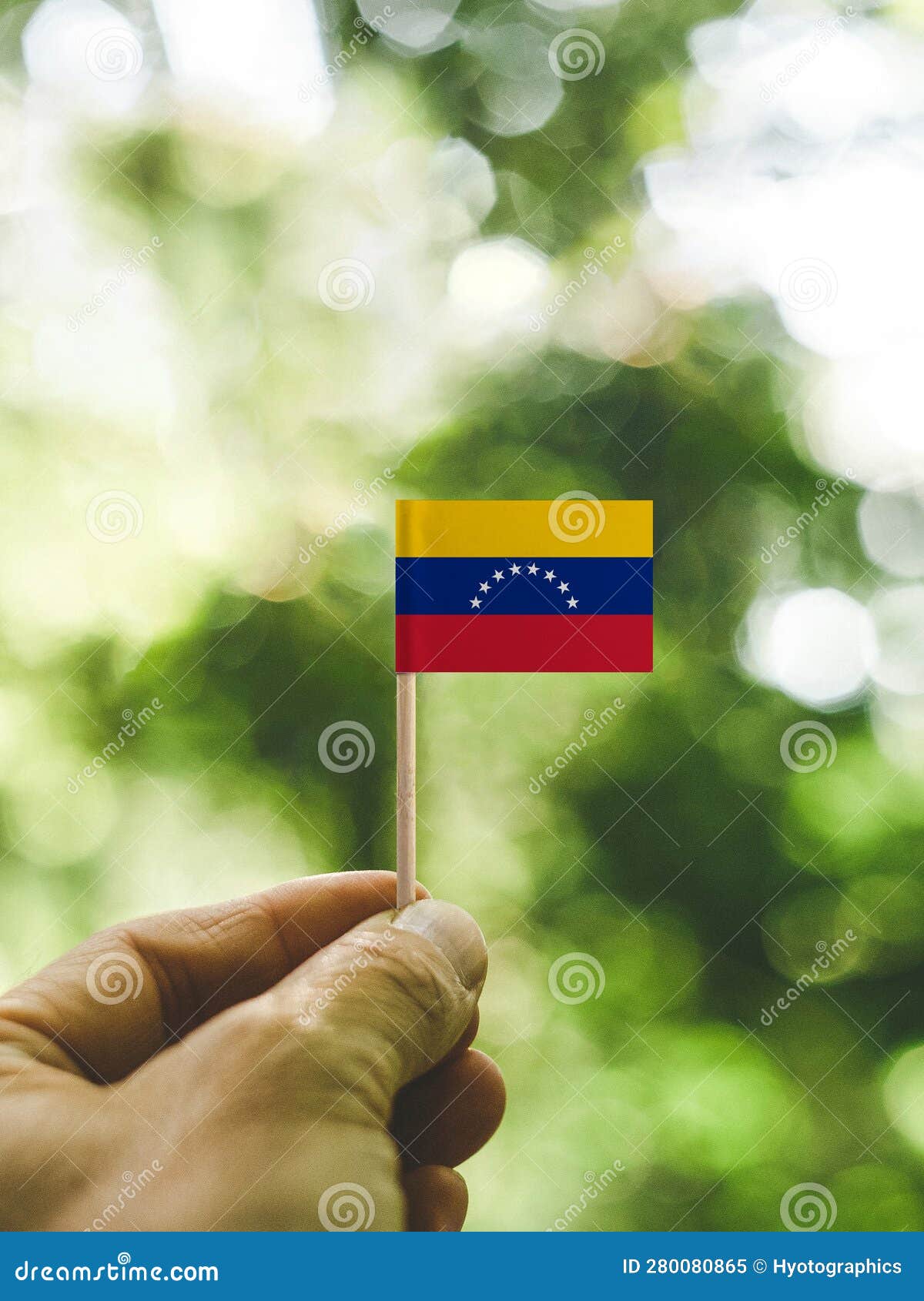 The Flag of the Venezuela Which is Held in Hand. Stock Image - Image of ...