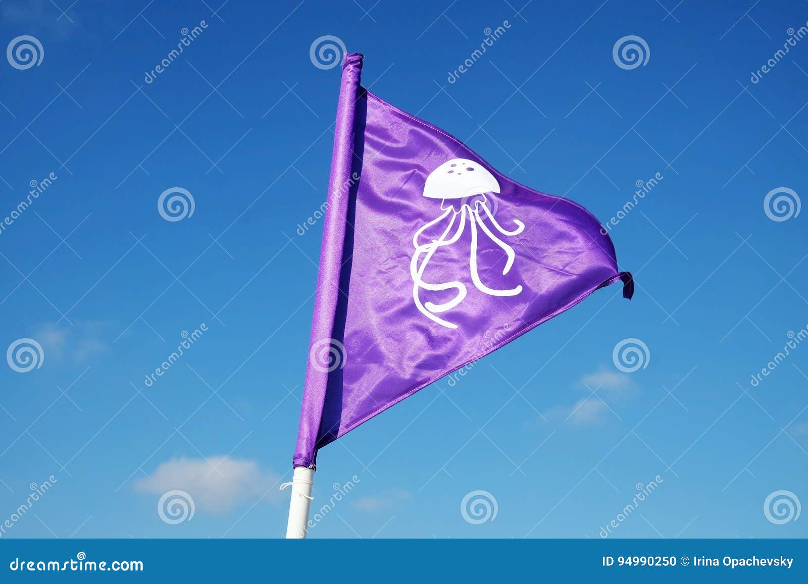 Flag Warning about the Jellyfish in the Sea Stock Photo - Image of jellyfish, blue: 94990250