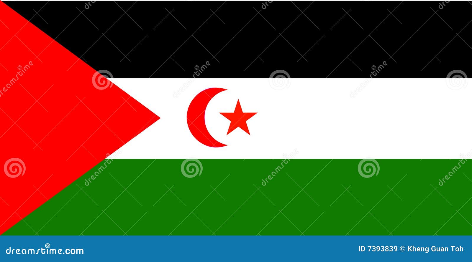 Flag of Western Sahara stock vector. Illustration of flag - 7393839