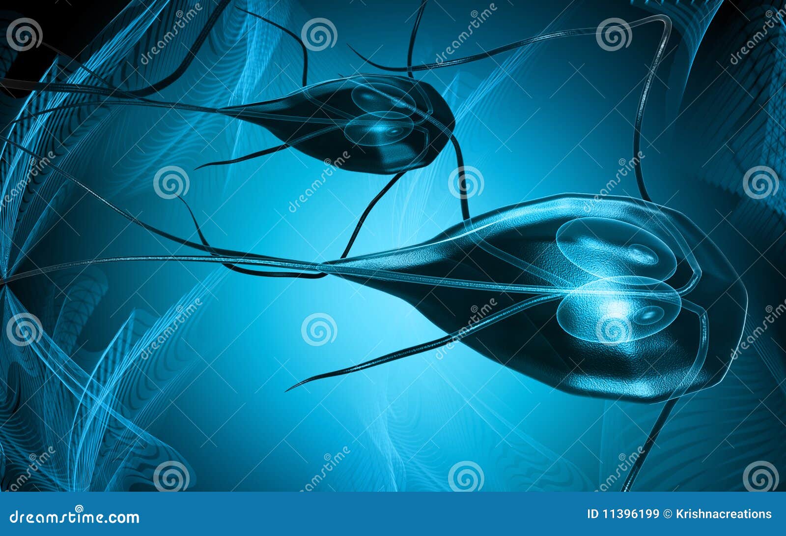 Flagella Cartoons, Illustrations & Vector Stock Images - 1968 Pictures ...