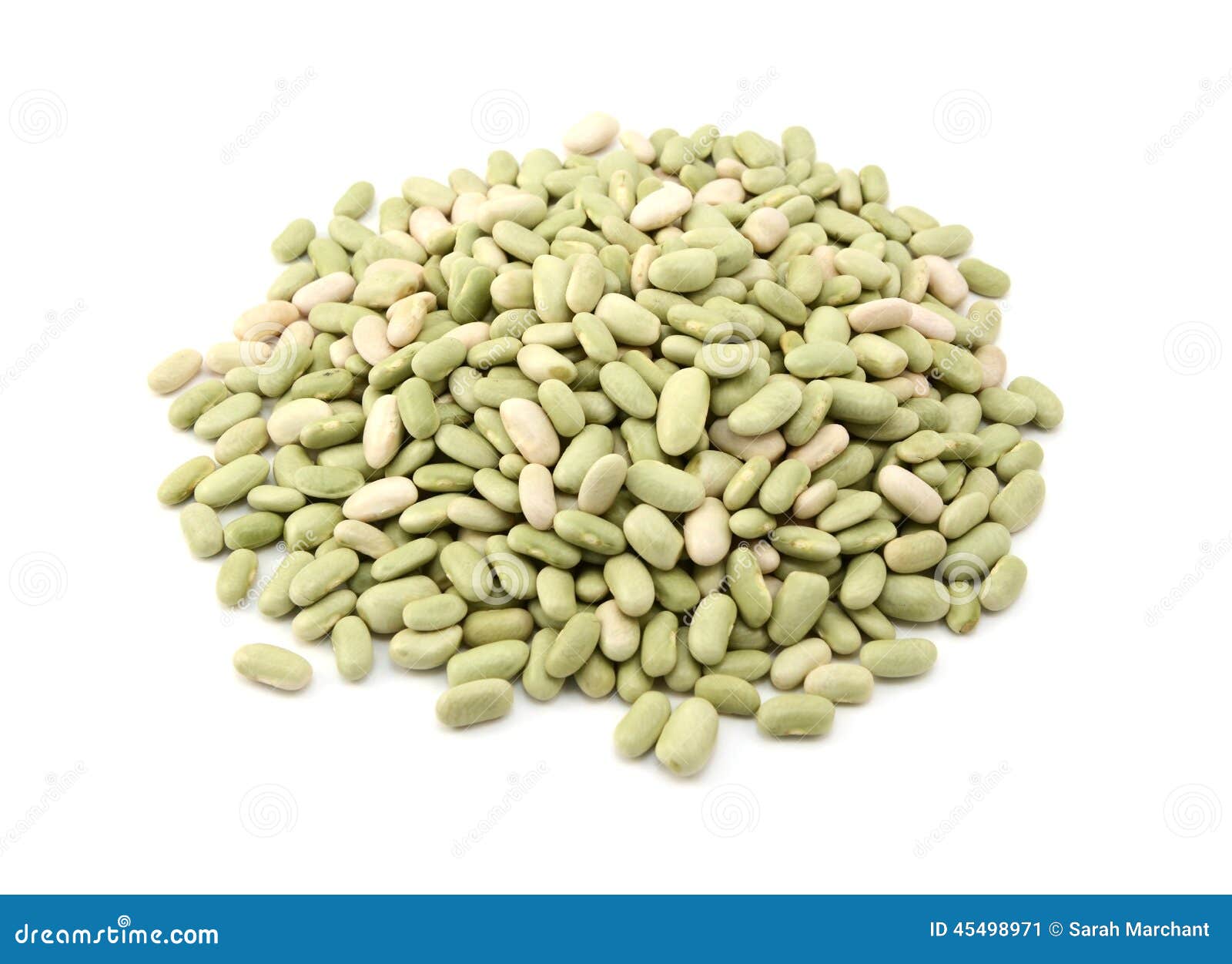 Green Flageolet Beans Background Royalty-Free Stock Photography ...