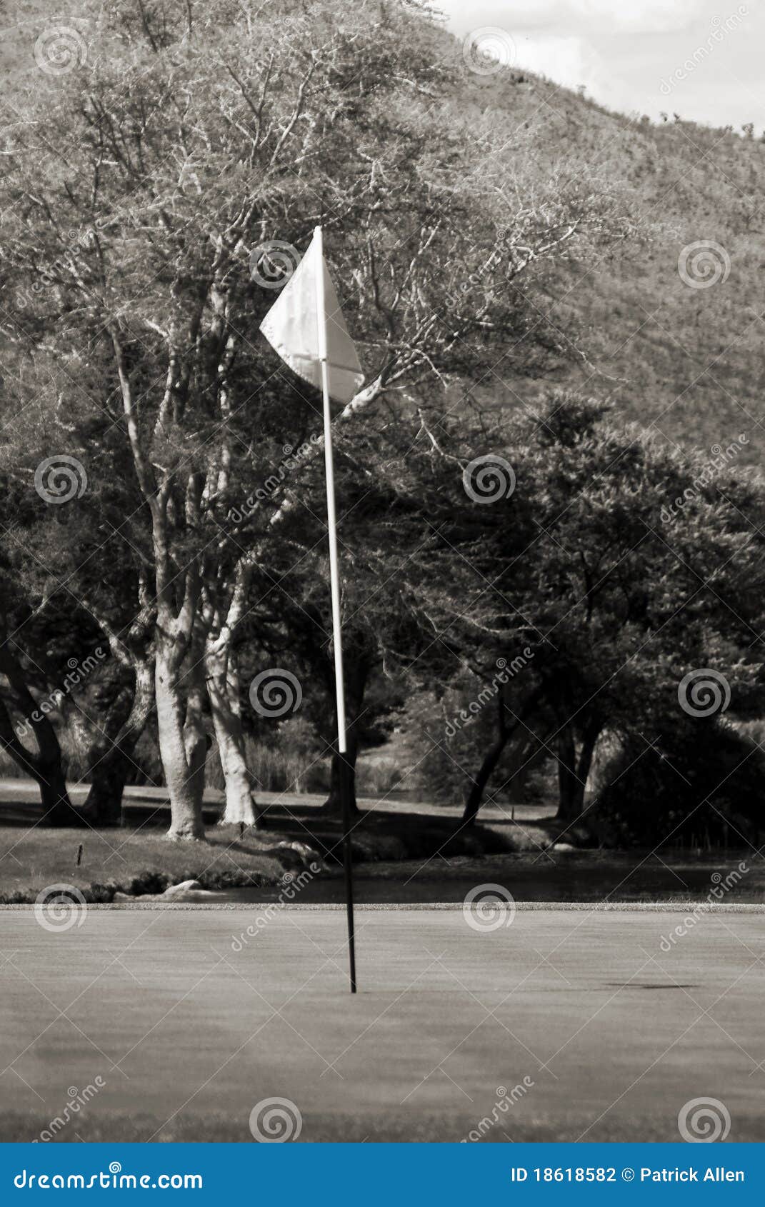 Flagpole, Green & Busy Background Stock Photo - Image of green, city ...
