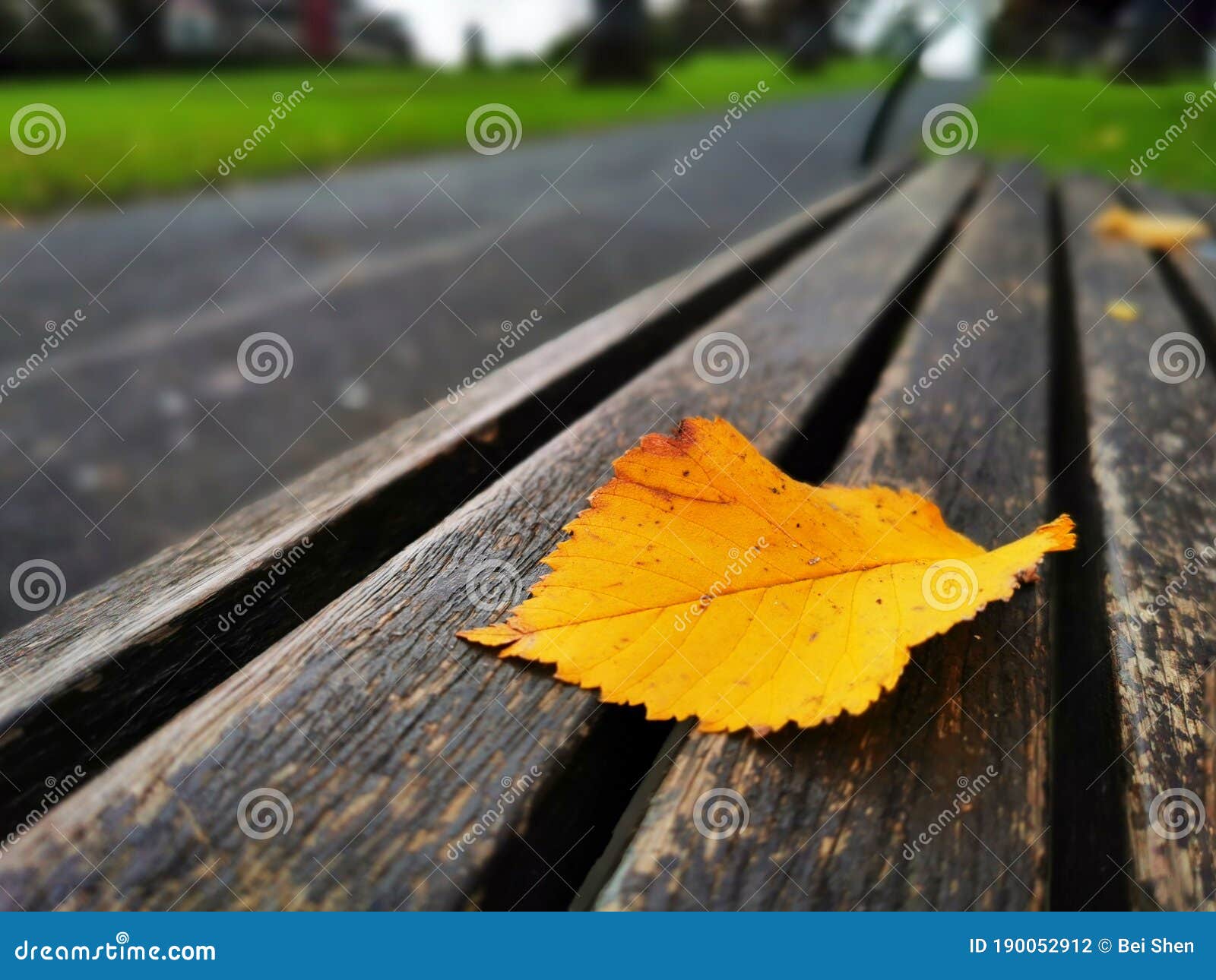 Flagpole Park Bench Fallen Leaves Stock Photo - Image of sunlight ...