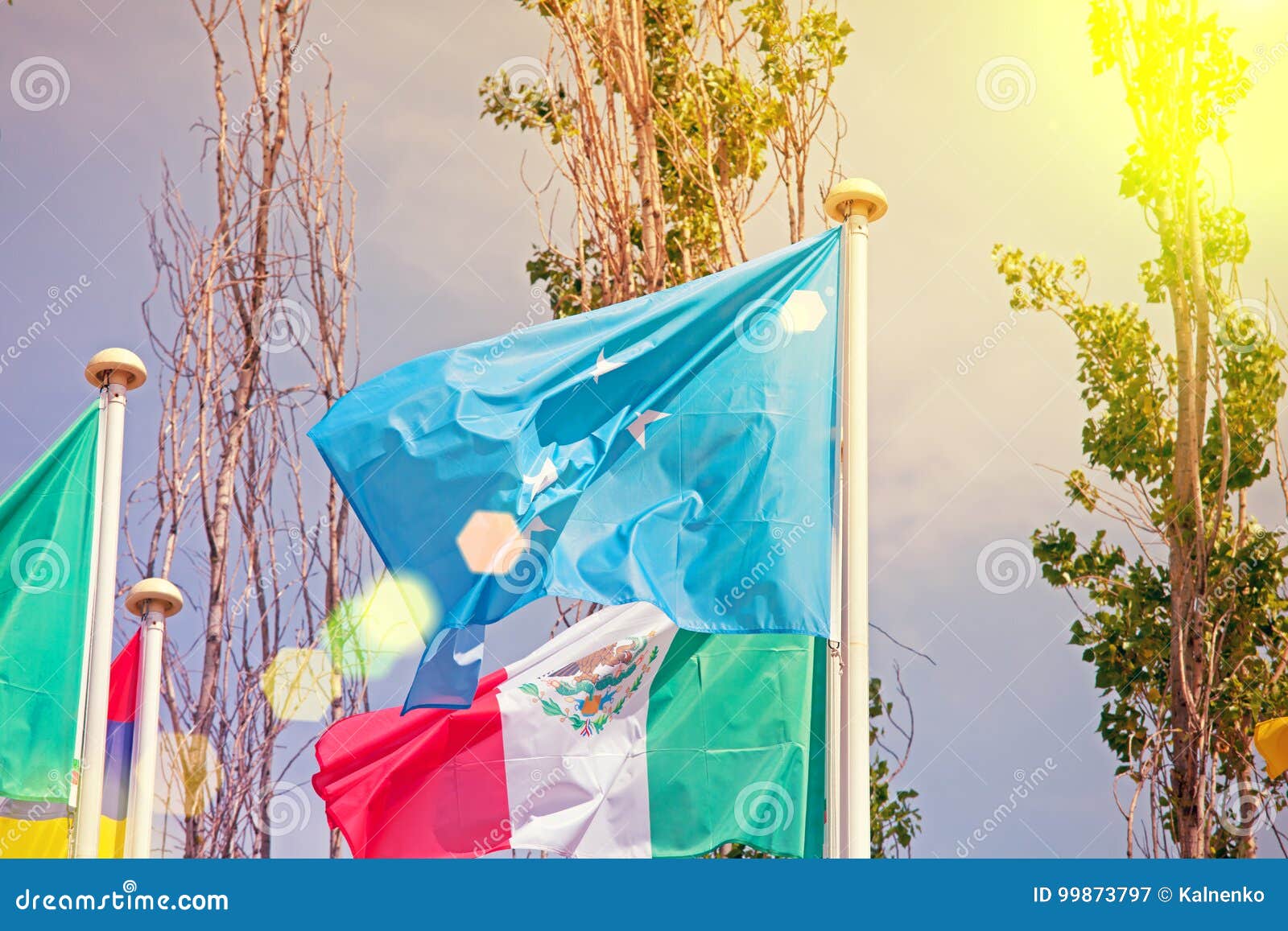 Flags on the Background of the Blue Sky Stock Image - Image of nations ...