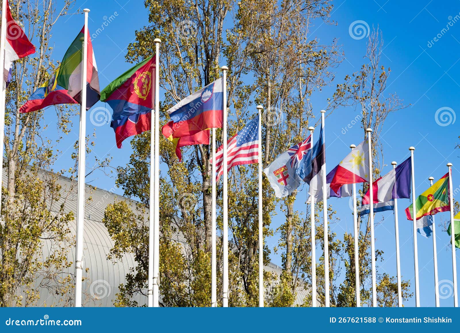 Flags of Countries on the Background of Trees Stock Photo - Image of ...