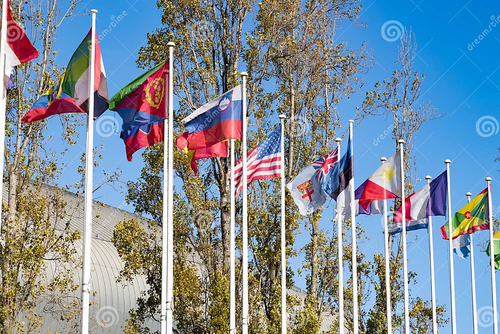 Flags of Countries on the Background of Trees Stock Photo - Image of ...