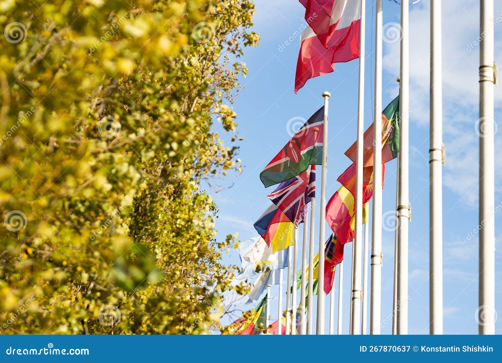 Flags of Countries Fluttering in the Wind Next To Trees Stock Image ...