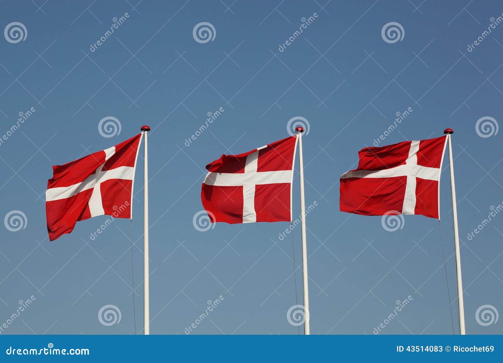 Flags of Denmark stock image. Image of patriot, patriotism - 43514083
