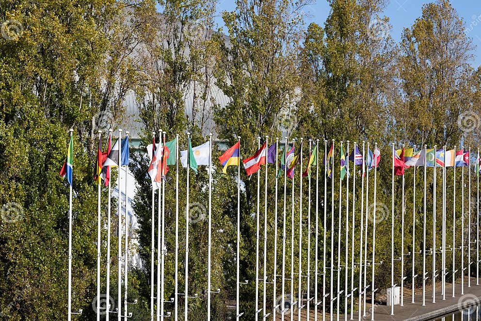 Flags of Different Countries on the Background of Trees Stock Photo ...