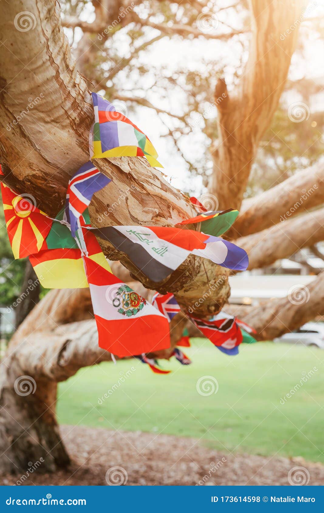 Flags of Different Countries in the Tree. Multicultural Network ...