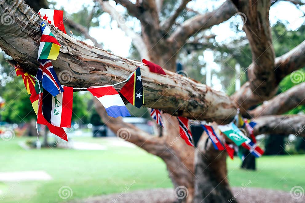 Flags of Different Countries in the Tree. Multicultural Network ...