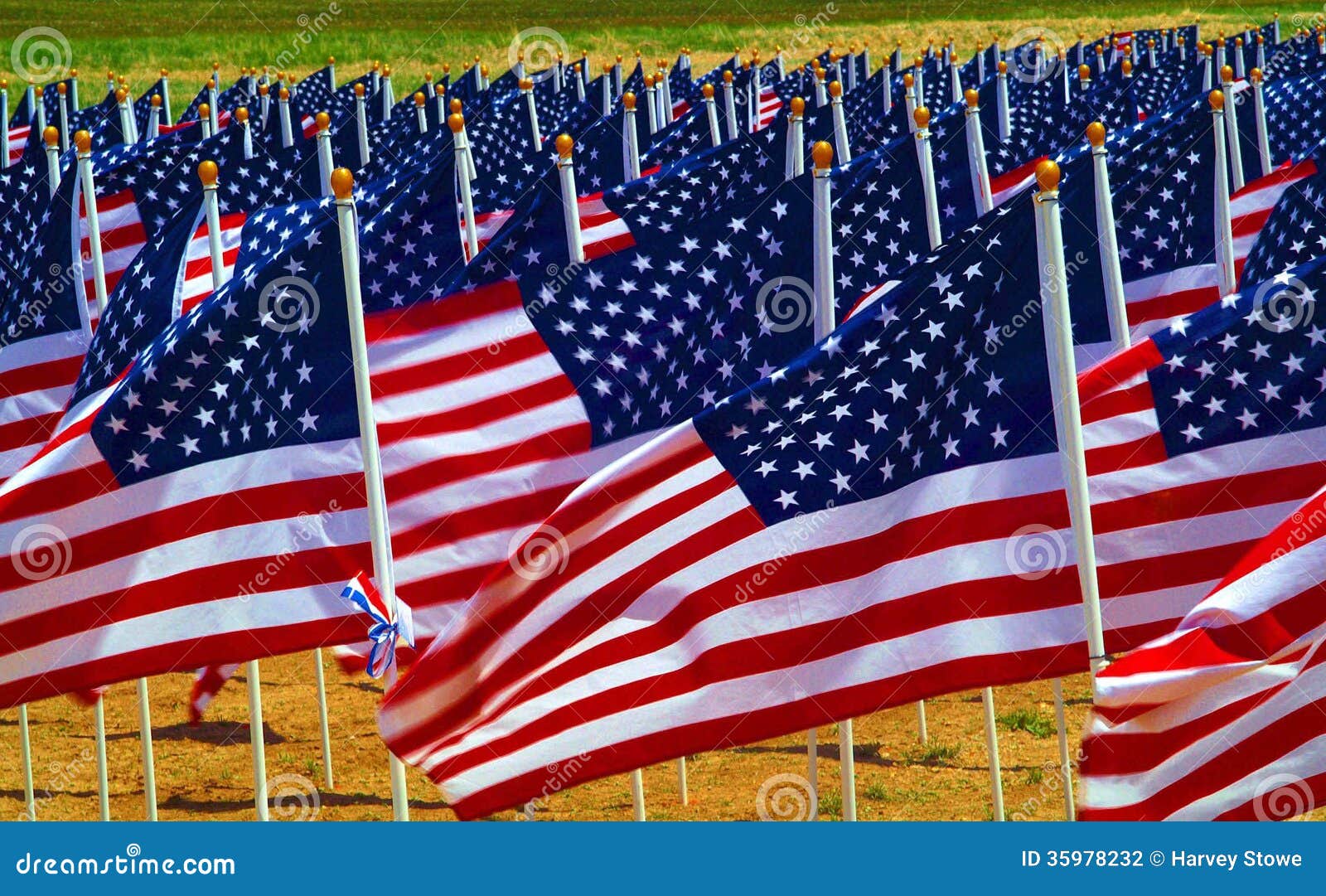 Flags in a field. stock photo. Image of hero, action - 35978232