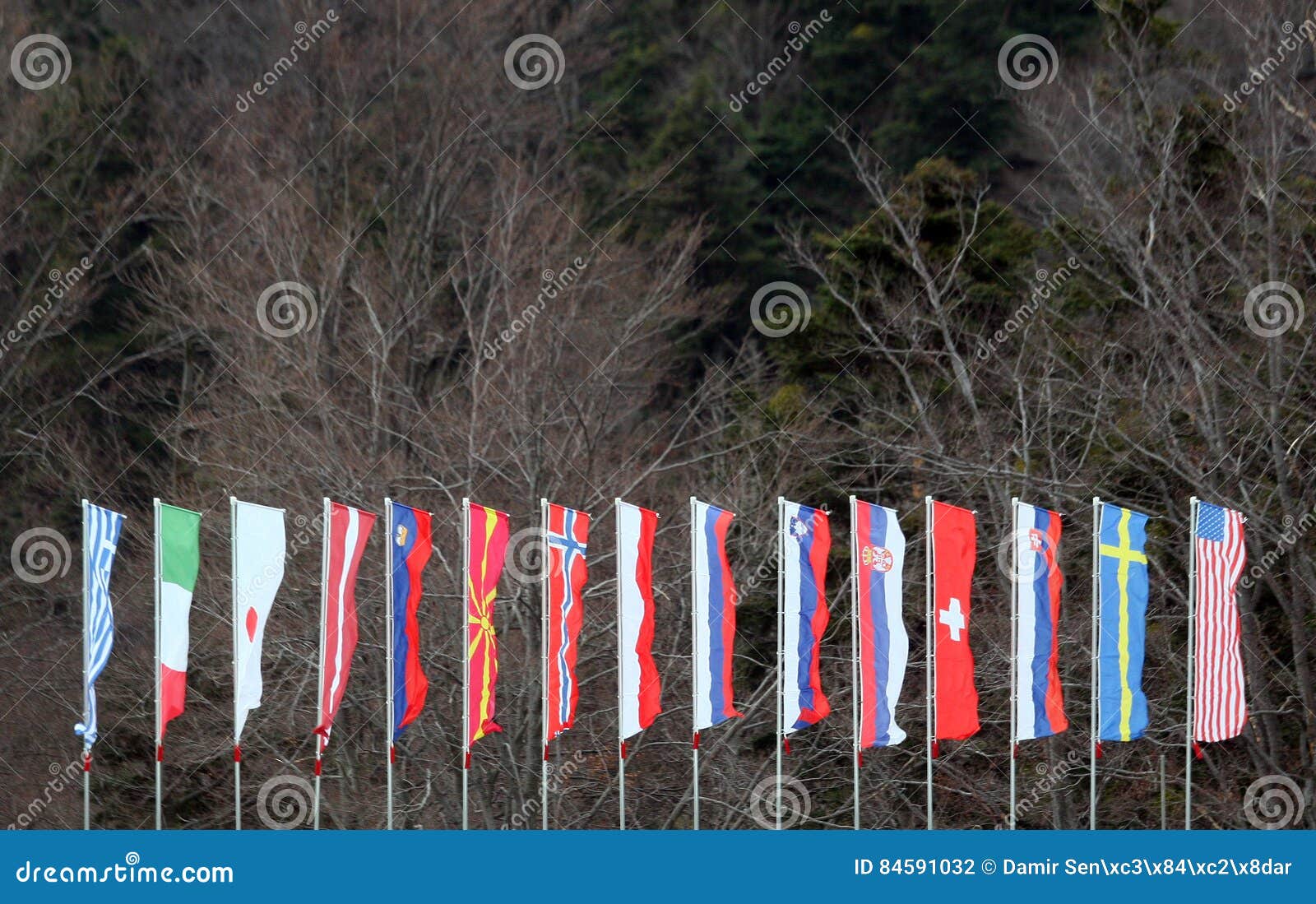 Flags in front of forest stock photo. Image of forest - 84591032