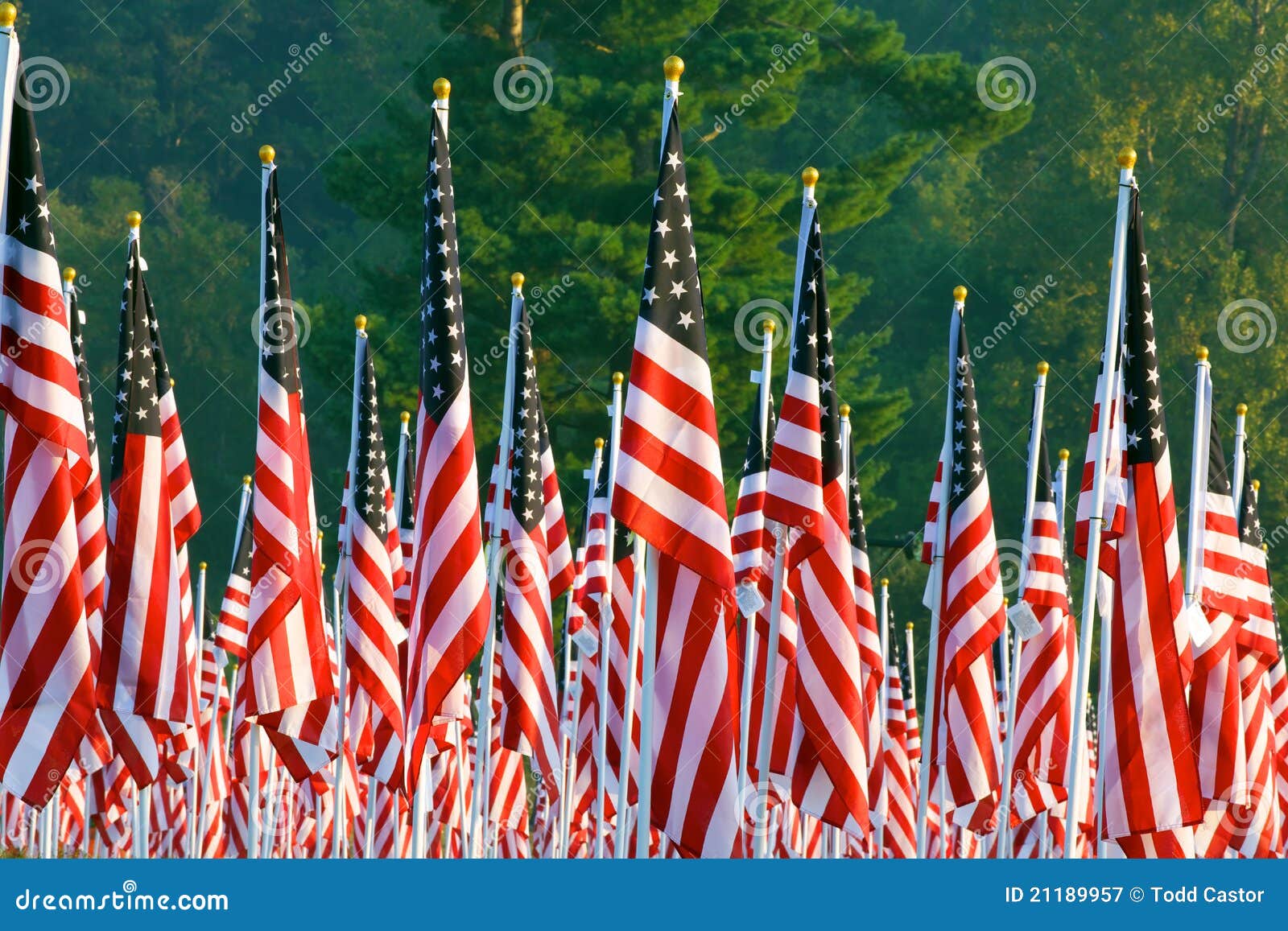 Flags in the Healing Fields for 9/11 Stock Image - Image of pain, white ...