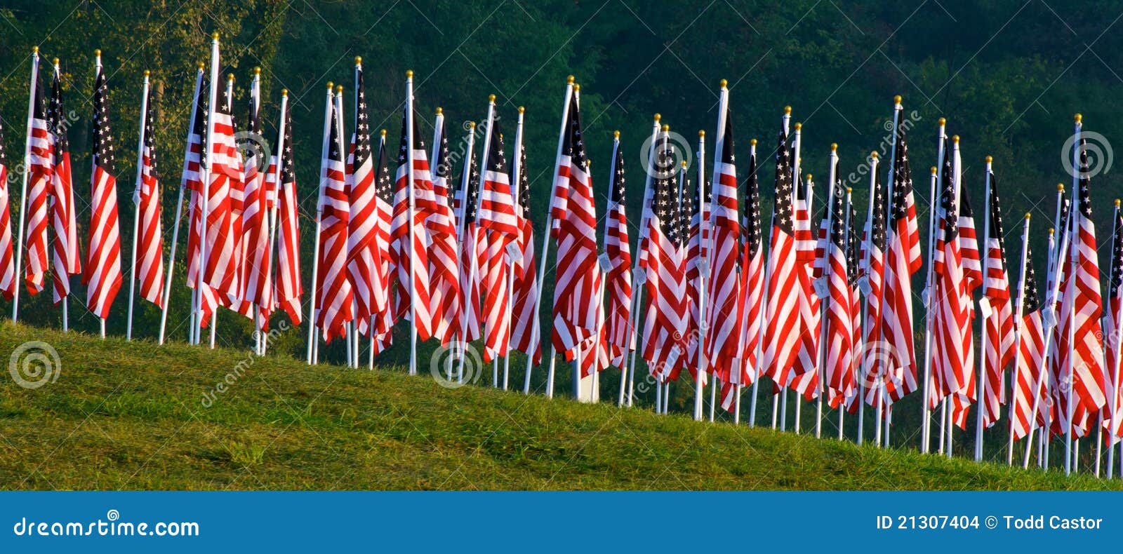 Flags in the Healing Fields for 9/11 Editorial Stock Image - Image of ...