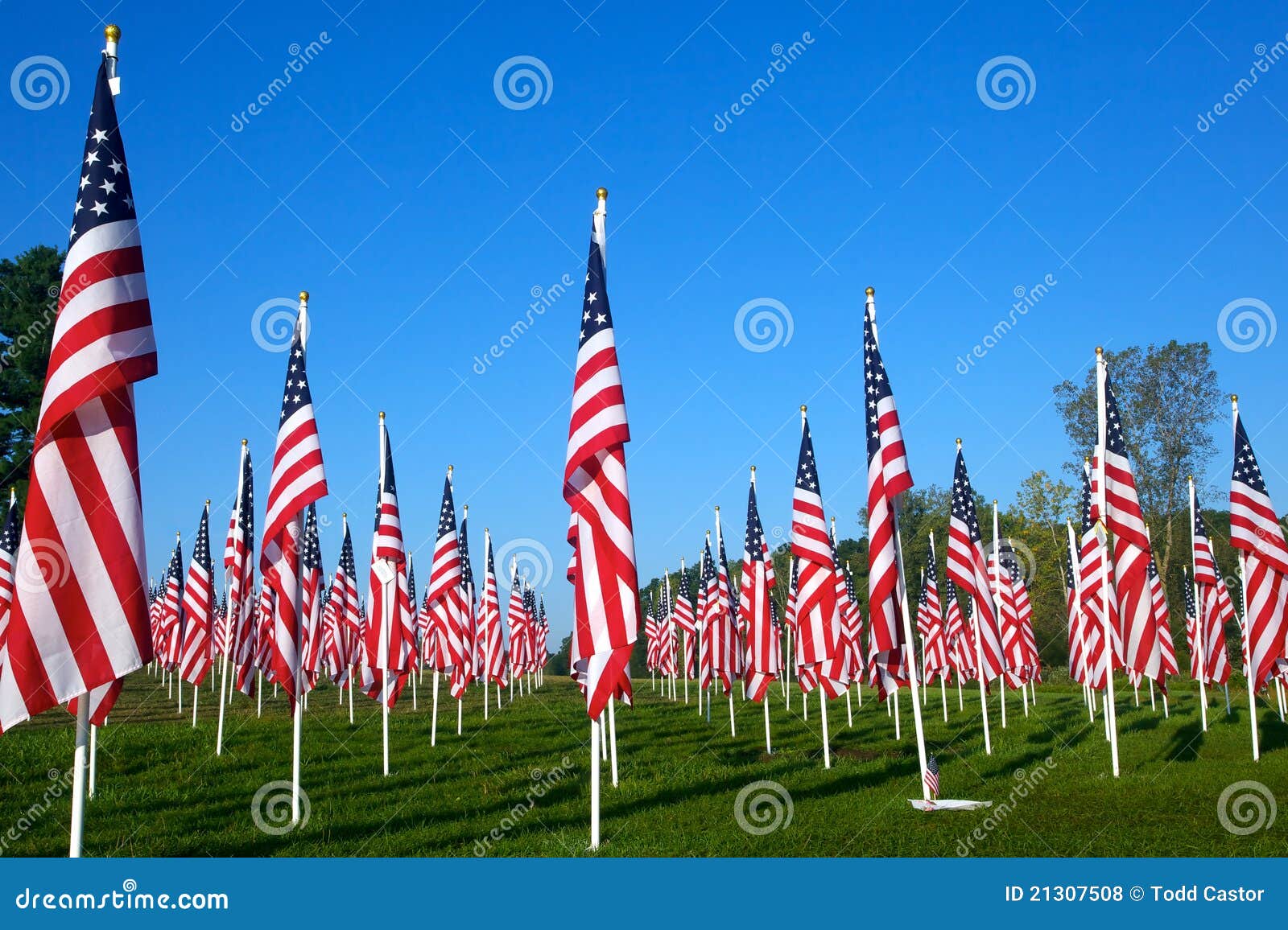 Flags in the Healing Fields for 9/11 Editorial Stock Photo - Image of ...