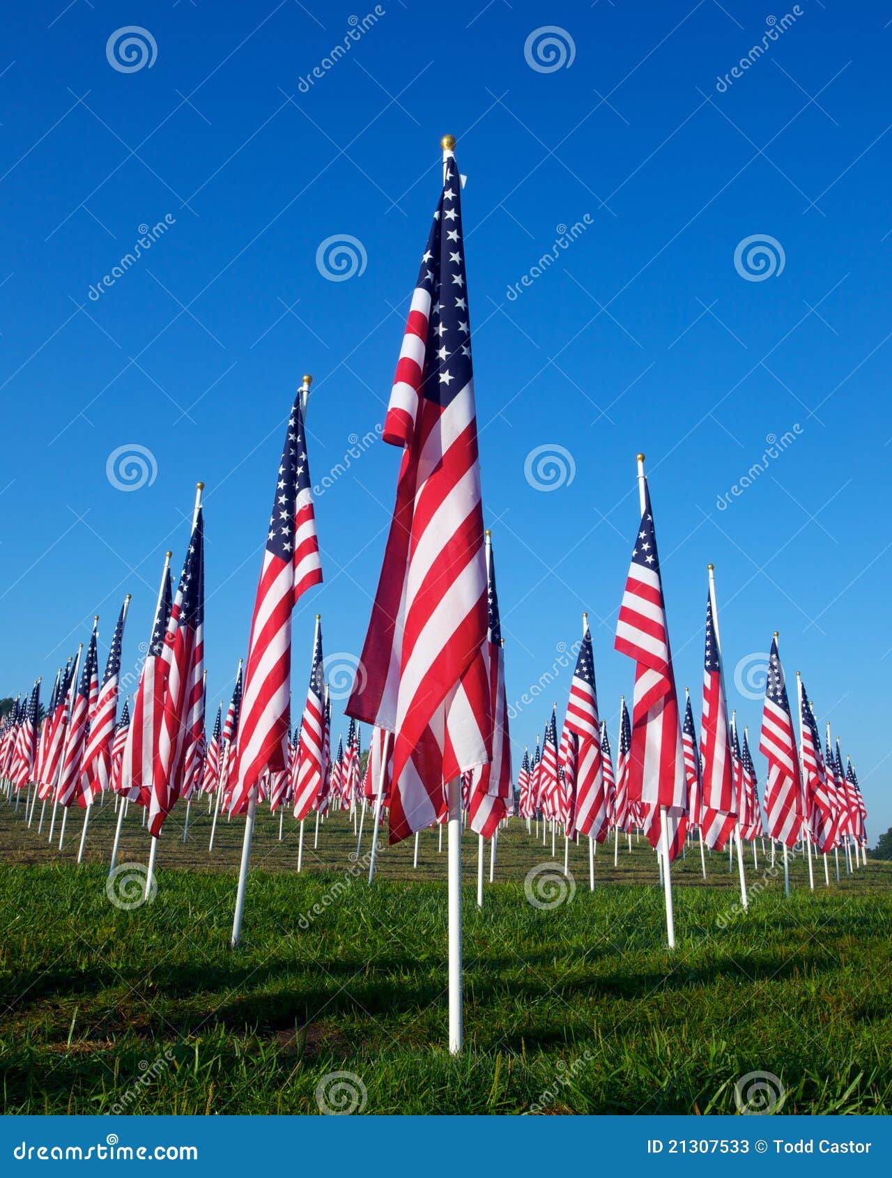 Flags in the Healing Fields for 9/11 Editorial Stock Photo - Image of ...