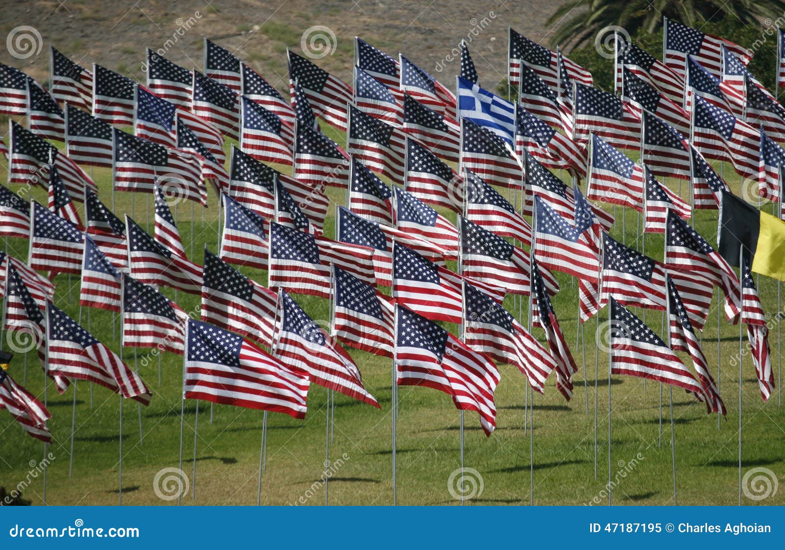 Flags - memorial display stock image. Image of symbol - 47187195