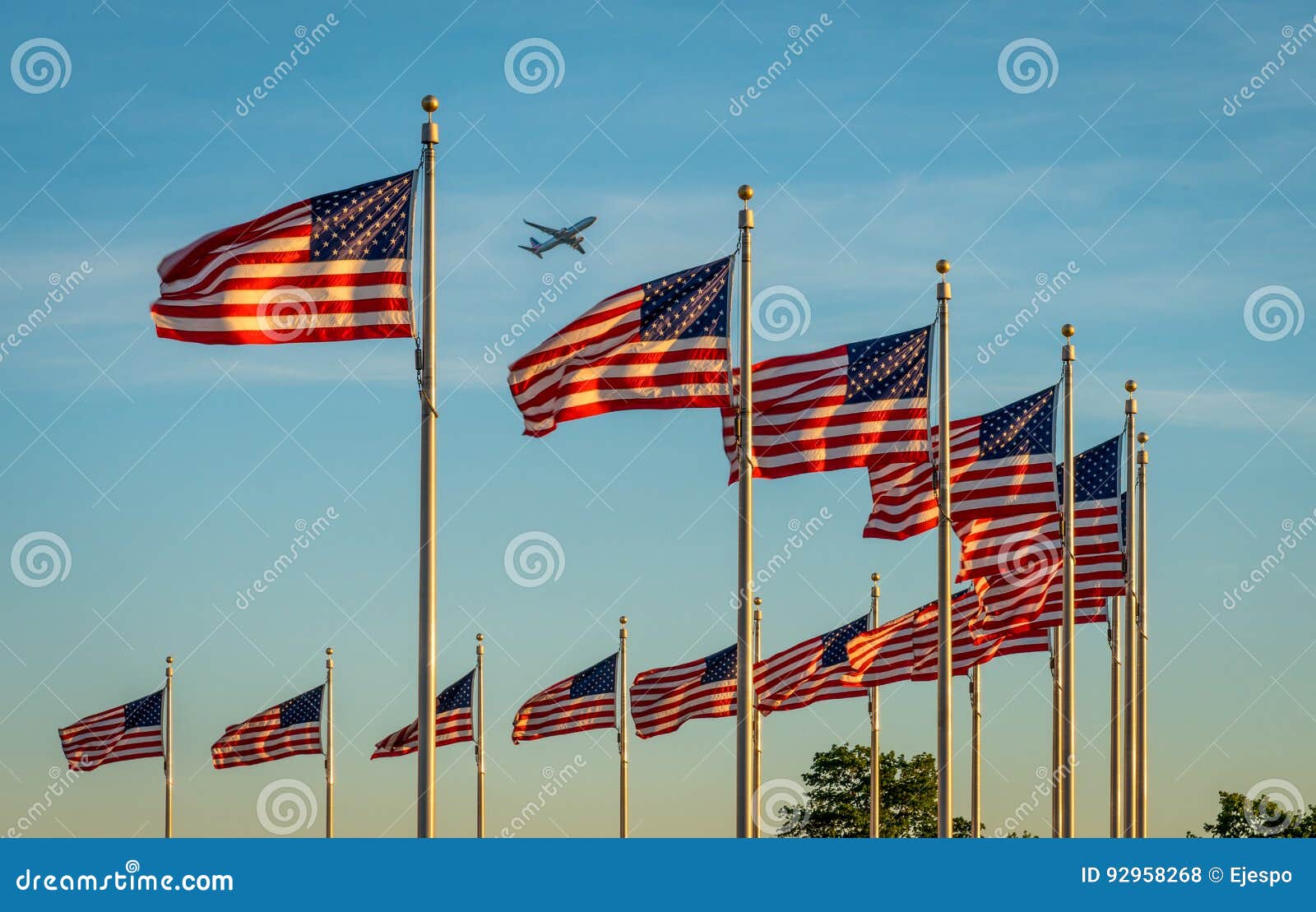 Flags and Plane stock photo. Image of poles, american - 92958268