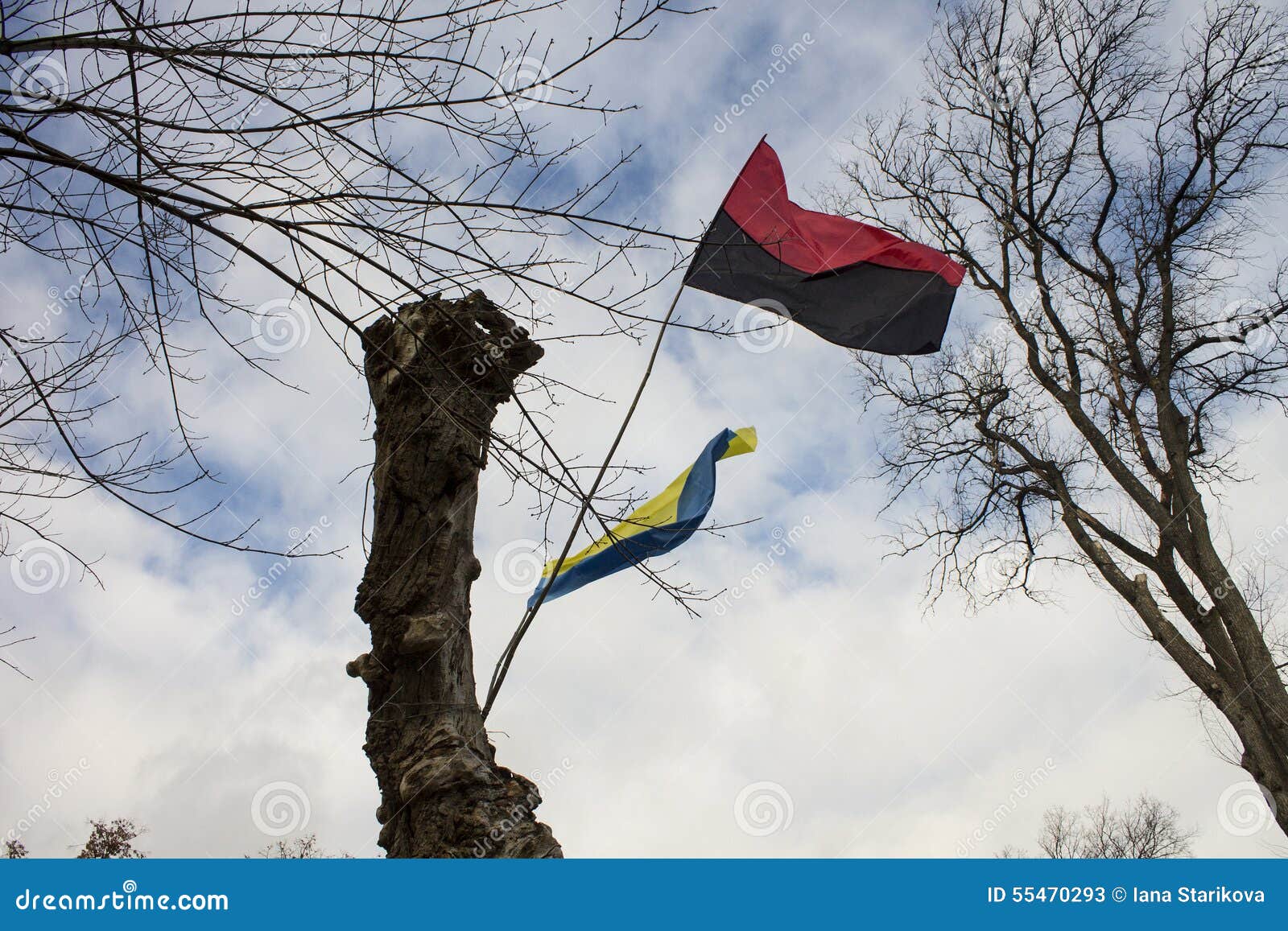 188 Flags Ukraine Right Sector Stock Photos - Free & Royalty-Free Stock ...