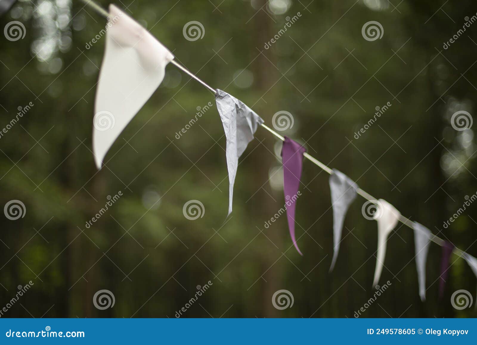 Flags on Rope. Flags in Row Hang on String Stock Image - Image of ...