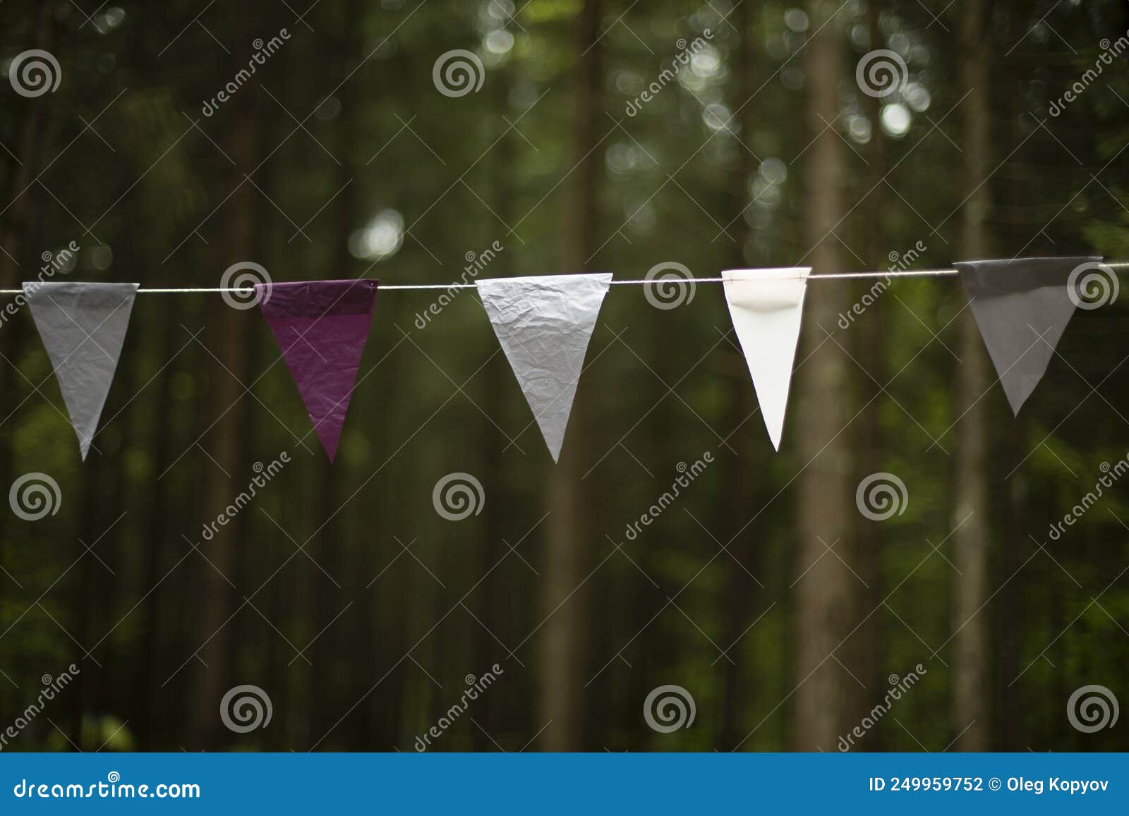 Flags on Rope. Flags in Row Hang on String Stock Photo - Image of ...