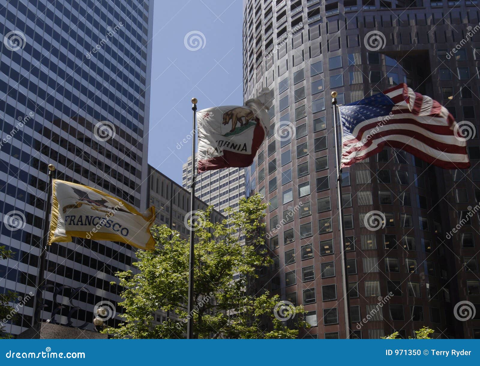 The Flags of San Francisco stock photo. Image of stars - 971350
