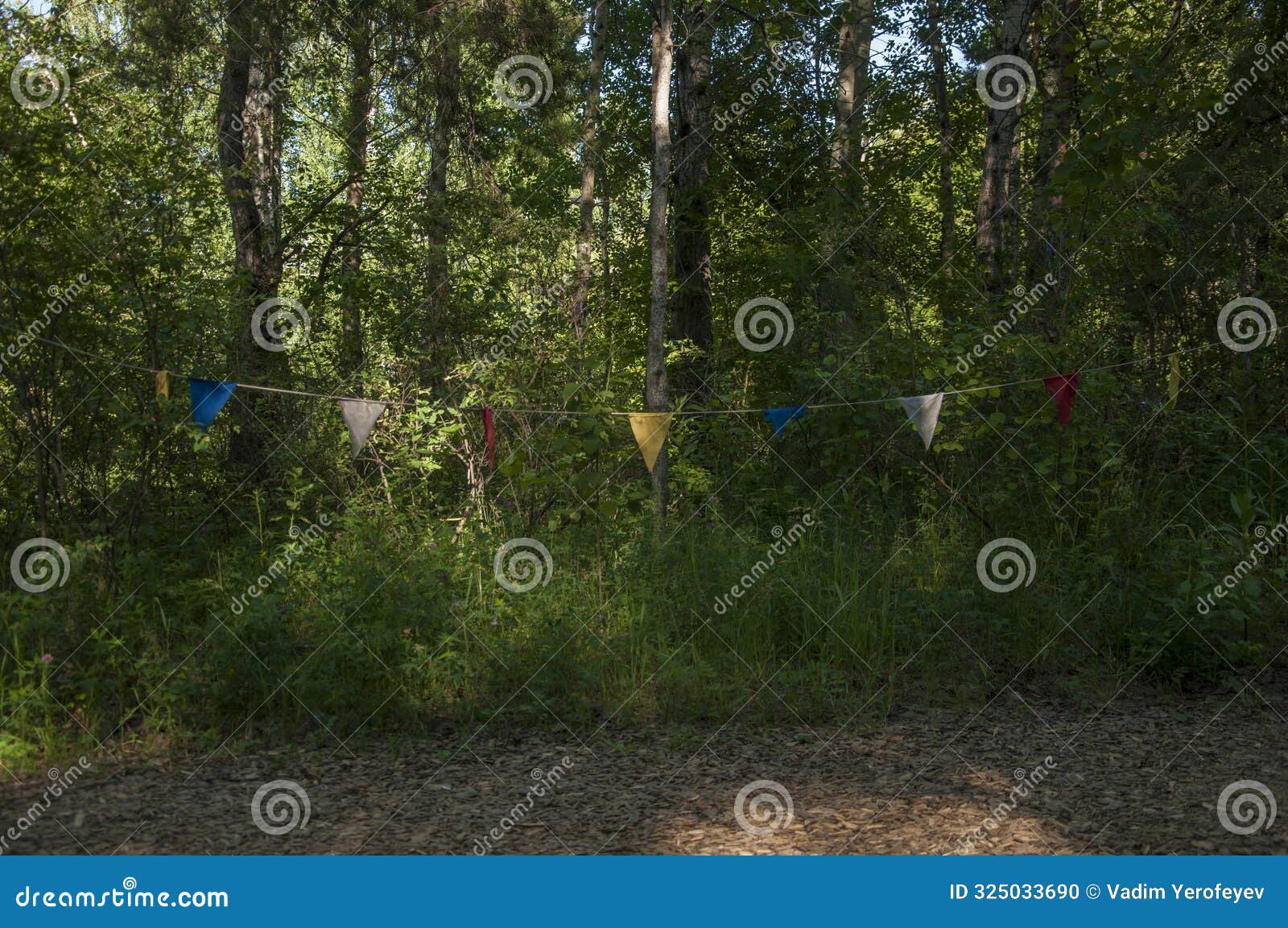 Flags Signaling the Start of a Path Stock Photo - Image of flag ...